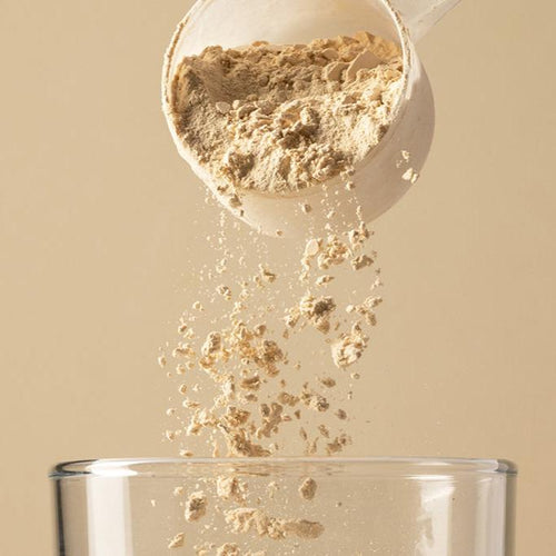 SFH | Natural Health Supplements
